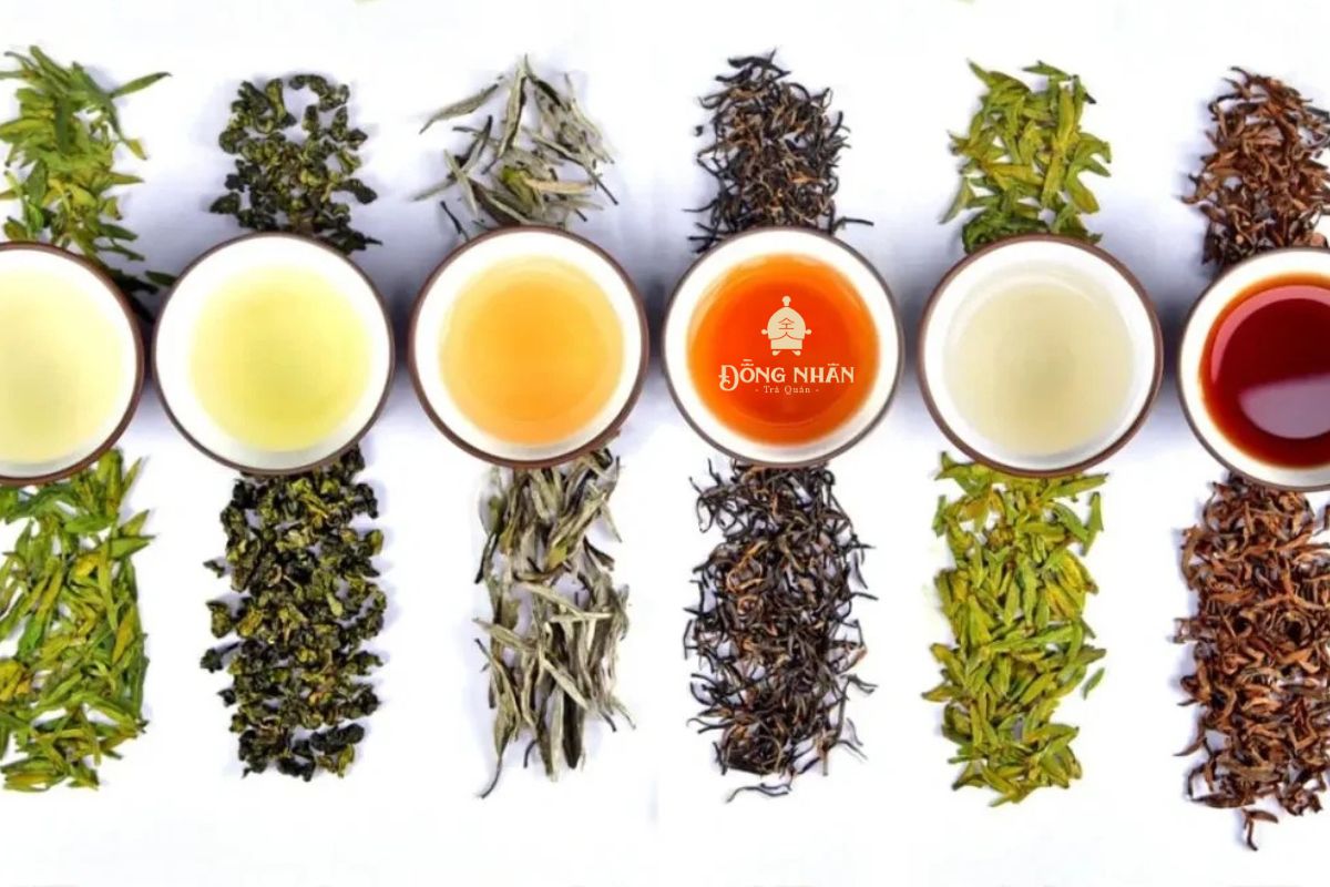 6 LOẠI TRÀ CHÍNH CỦA TRUNG QUỐC
